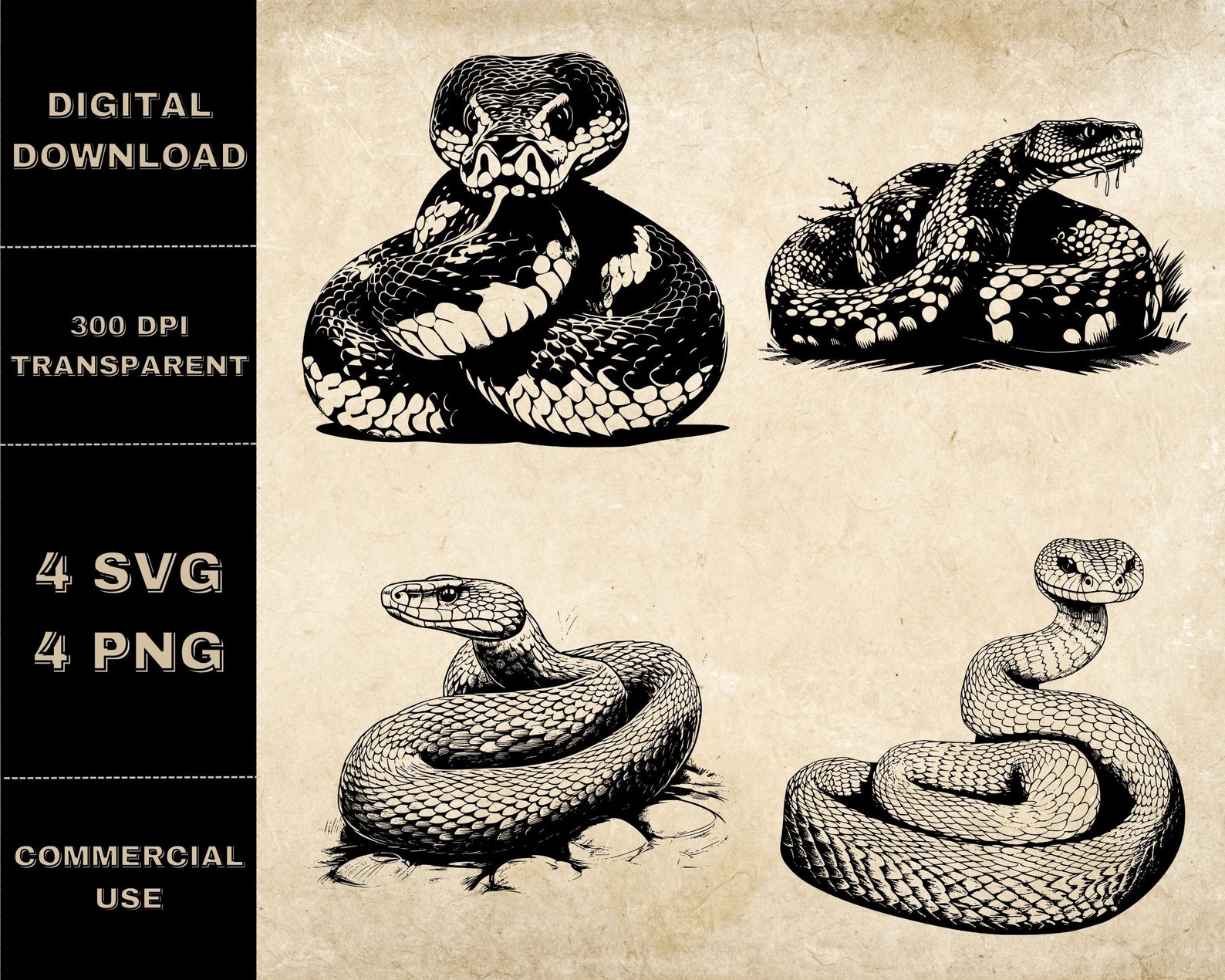Rattlesnake SVG Bundle, PNG, Snake Clipart, Hand Drawn Snakes Vector ...