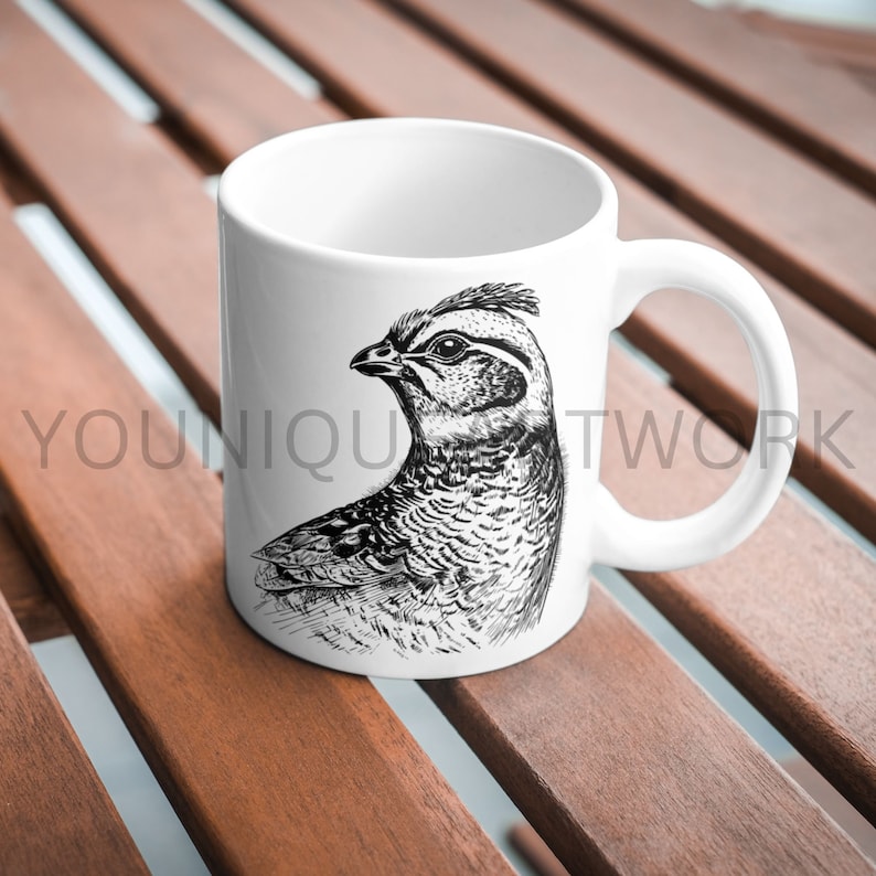 Quail SVG Bundle PNG Quail Clipart Hand Drawn Quail Vector - Etsy