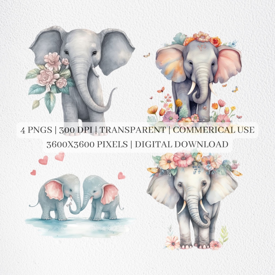 Floral Elephant Clipart, Elephant PNG Files for Sublimation, Elephants ...