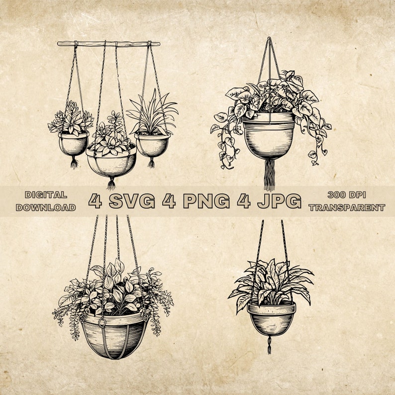 Hanging Plants SVG Bundle, PNG, Plant Hanger Clipart, Hand Drawn ...
