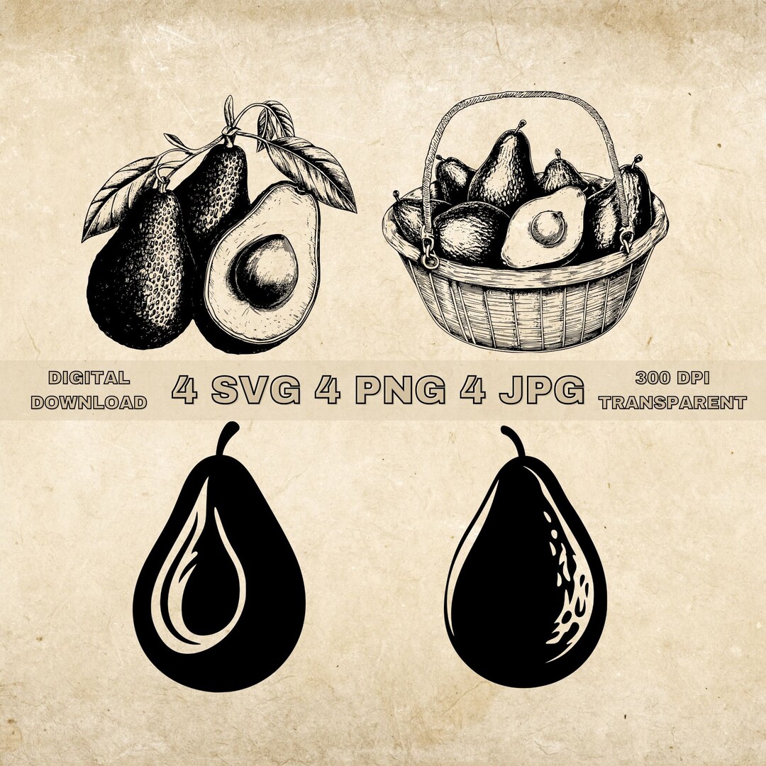 Avocado SVG Bundle, PNG, Avocado Clipart, Hand Drawn Avocados Vector ...