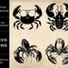 Lobster SVG Bundle, PNG, Lobster Clipart, Hand Drawn Sea Food Vector ...