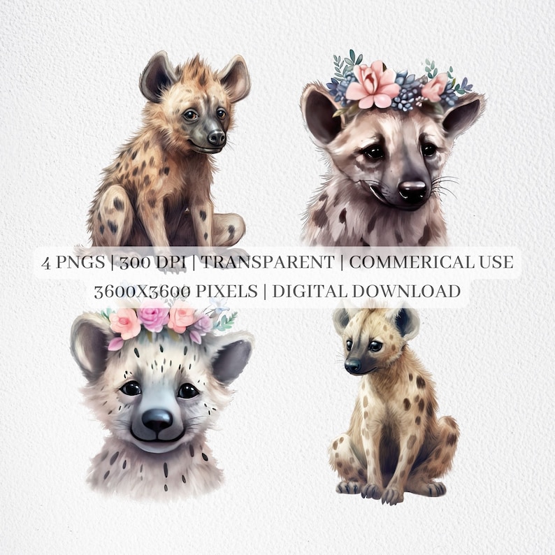 Cute Hyena Clipart Hyena PNG Files for Sublimation Hyenas - Etsy