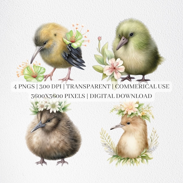 Bird Clip Art - Etsy