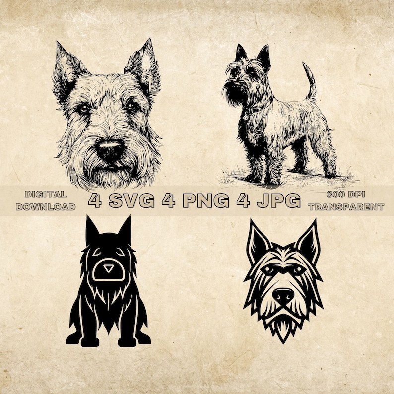 Scottish Terrier SVG Bundle, PNG, Dogs Clipart, Hand Drawn Dog Vector ...