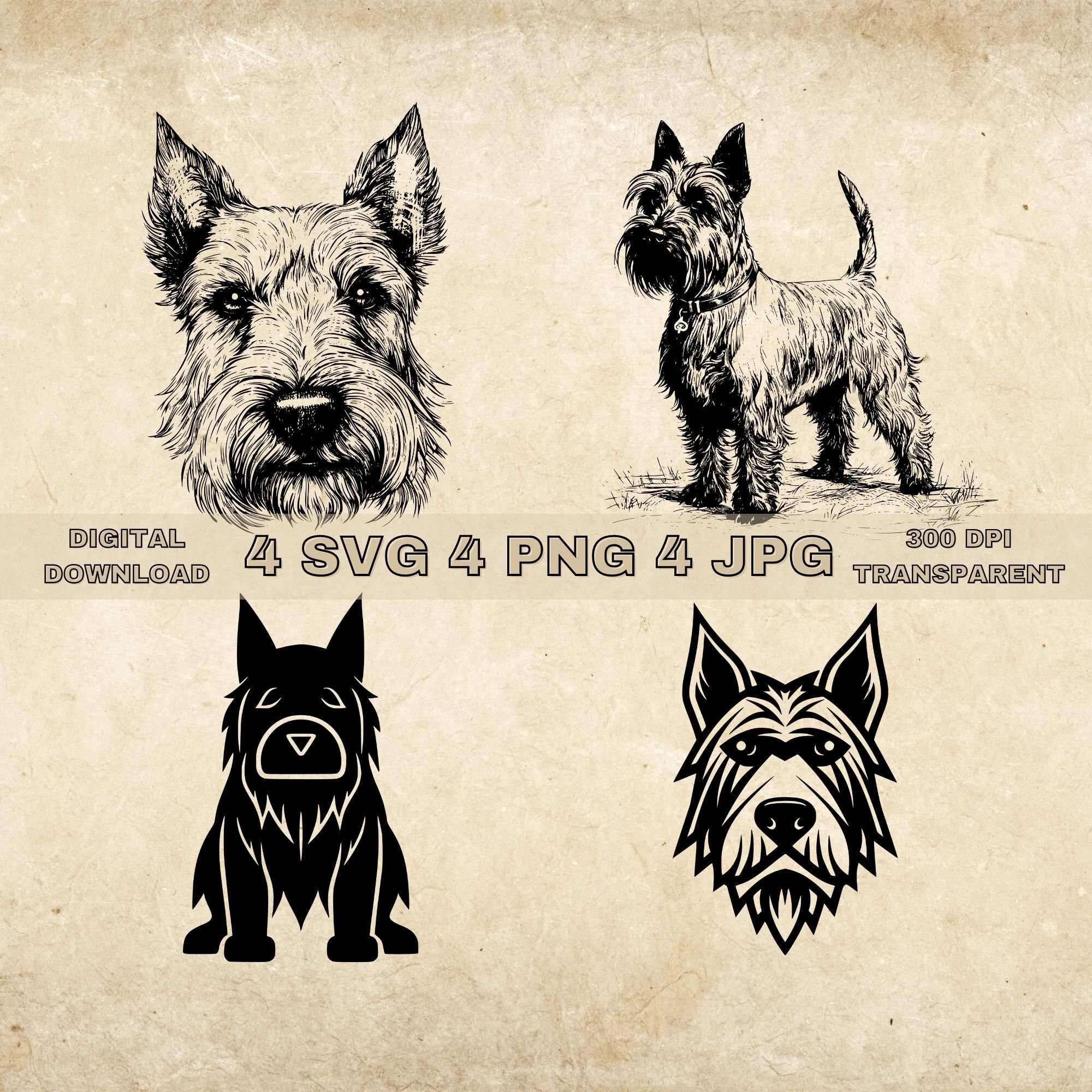 Scottish Terrier SVG Bundle, PNG, Dogs Clipart, Hand Drawn Dog Vector ...