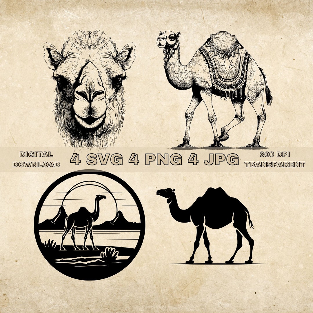 Camel SVG Bundle, PNG, Camel Clipart, Hand Drawn Camel Vector ...