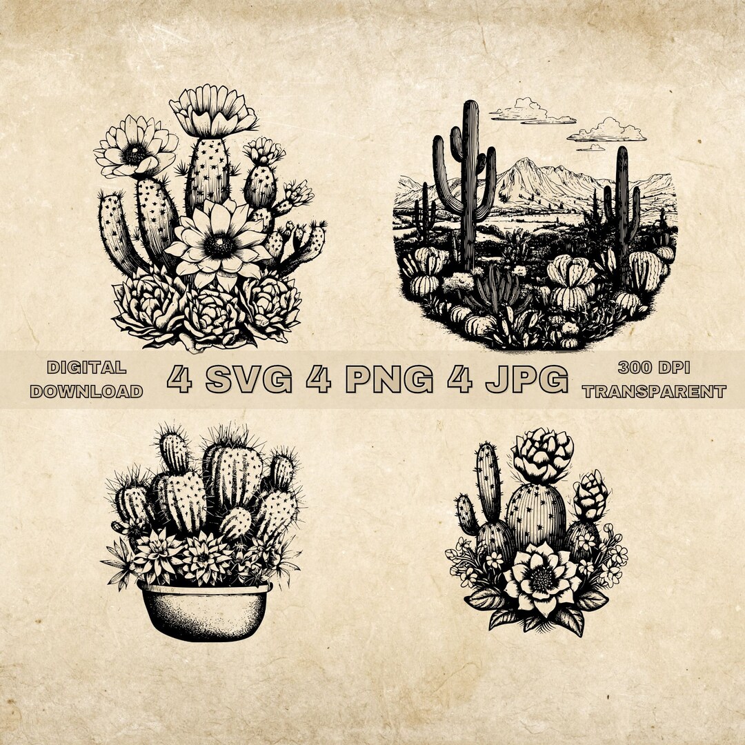 Cactus SVG Bundle, PNG, Desert Themed Clipart, Hand Drawn Cactus Vector ...