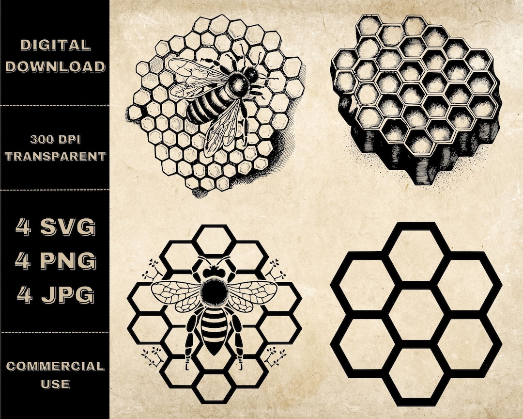 Honeycomb SVG Bundle, PNG, Bee Lover Themed Clipart, Hand Drawn Honey ...