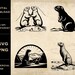 Prairie Dog SVG Bundle, PNG, Cute Animal Clipart, Hand Drawn Rodent ...