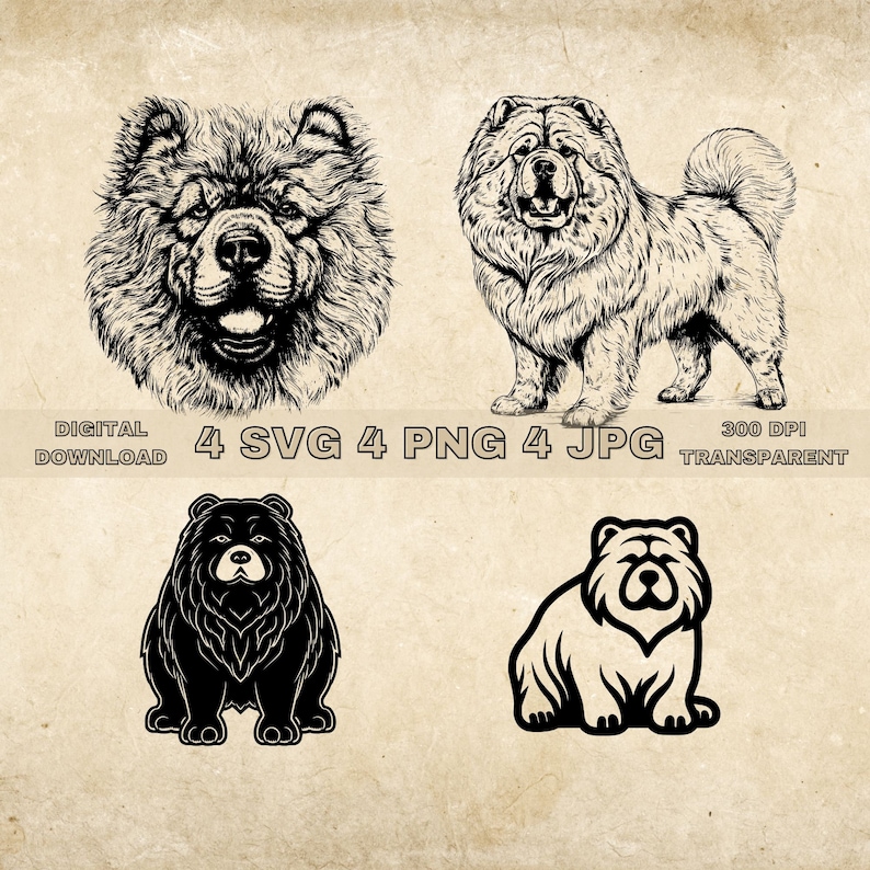 Chow Chow SVG Bundle PNG Dogs Clipart Hand Drawn Dog Vector - Etsy