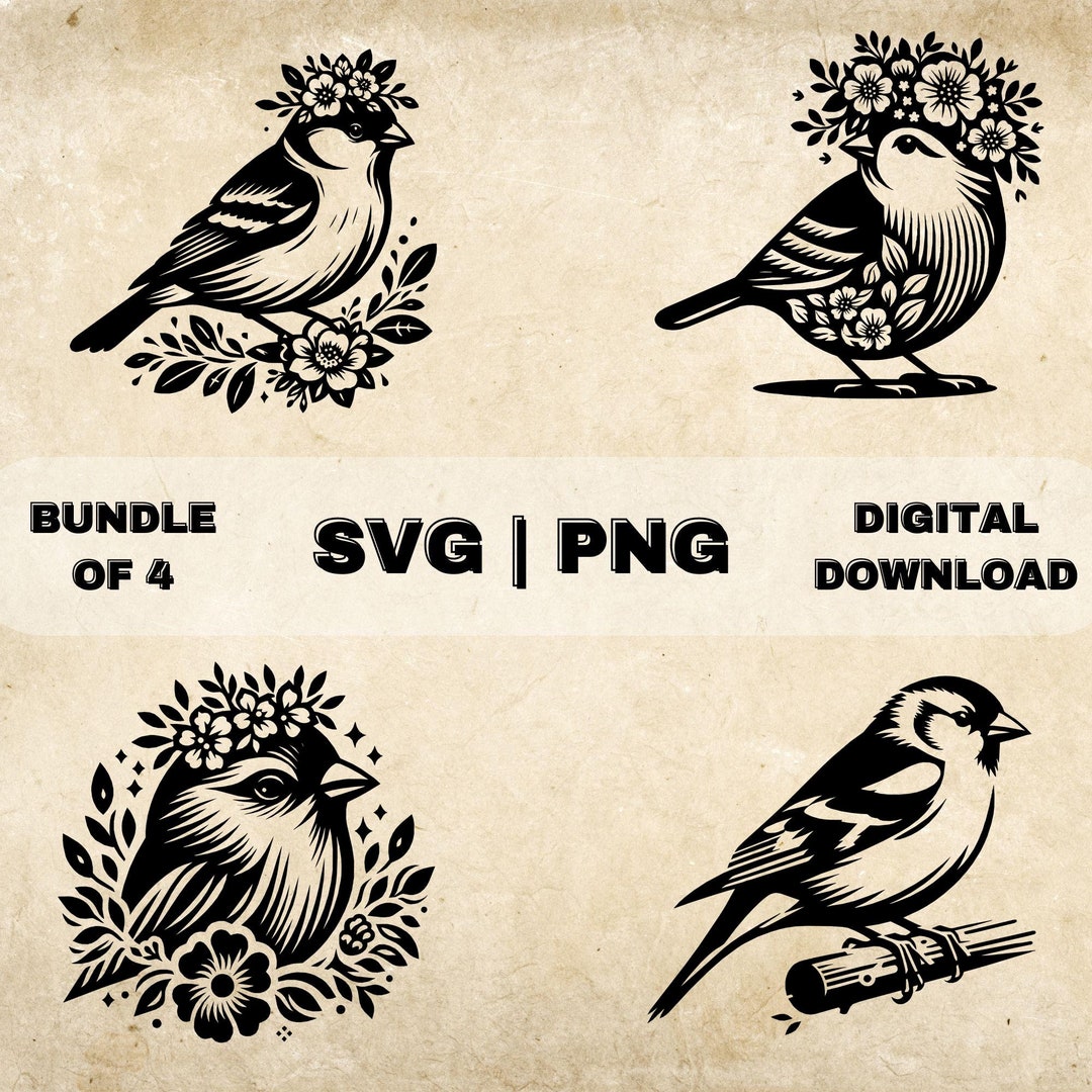 Finch Bird SVG Bundle, Floral Bird Clipart, Hand Drawn Birds Theme ...