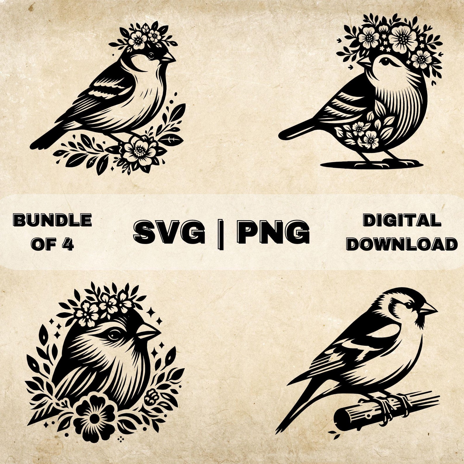 Finch Bird SVG Bundle, Floral Bird Clipart, Hand Drawn Birds Theme ...
