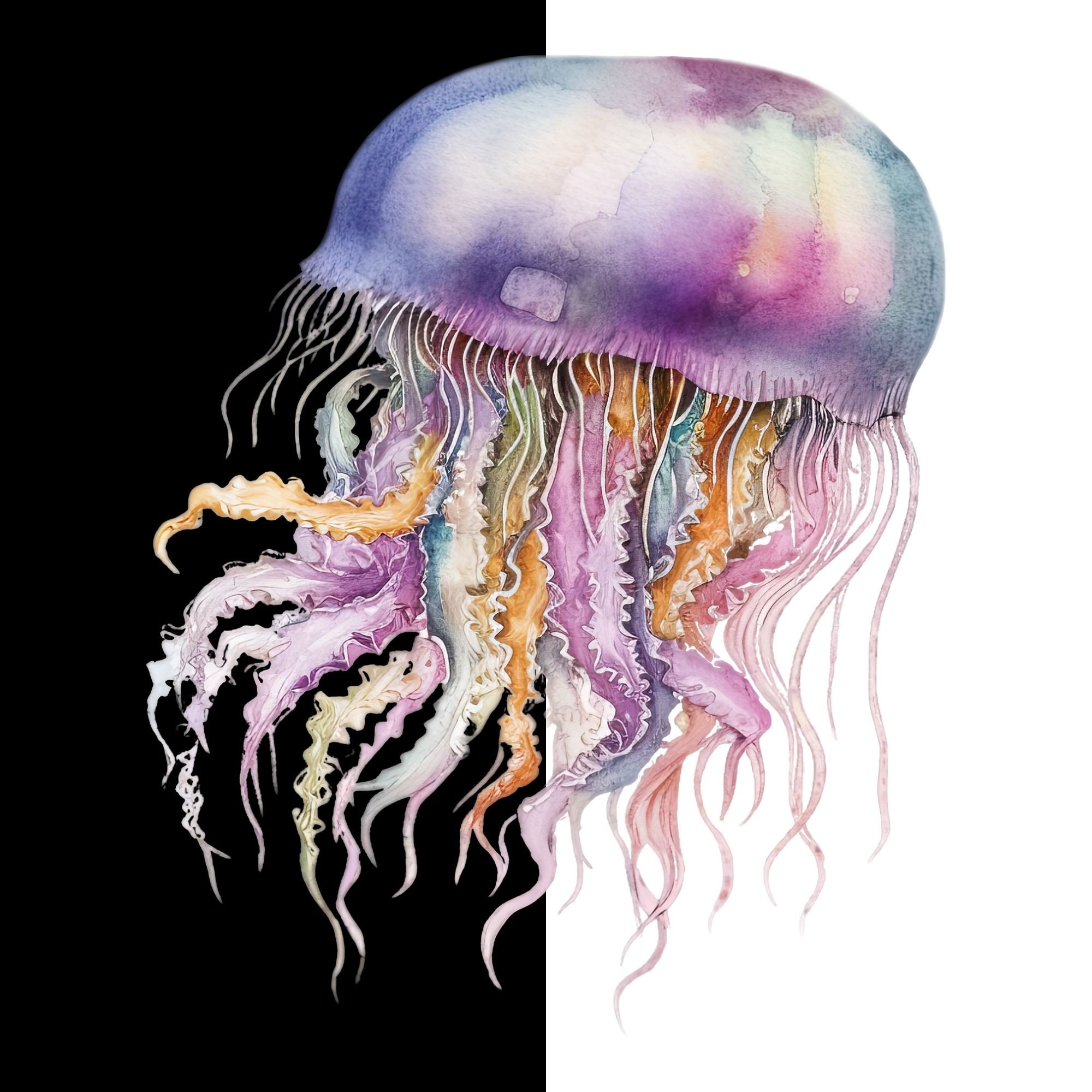 Jellyfish Clipart, Jellyfish PNG Files for Sublimation, Jelly Fish Clip ...