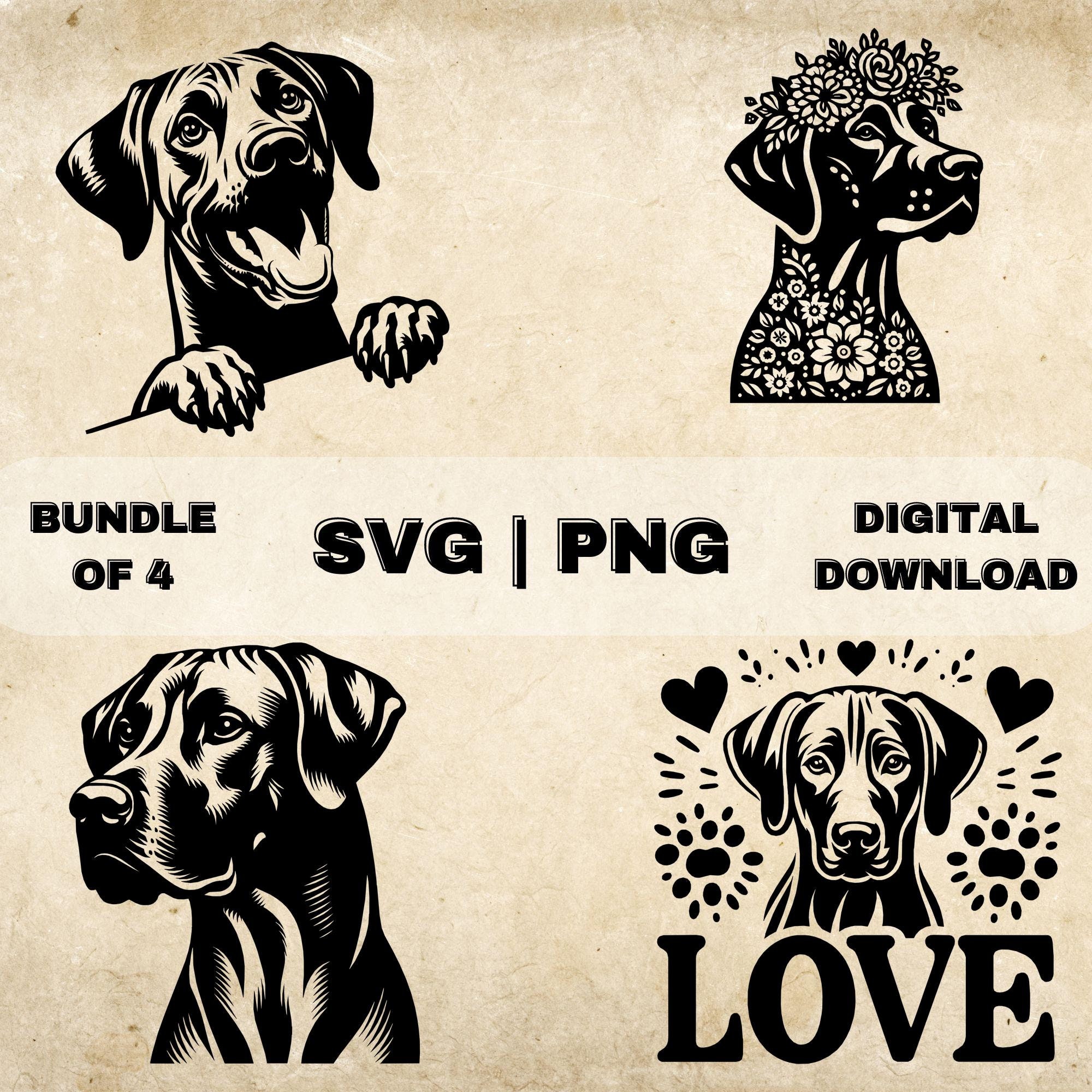 Rhodesian Ridgeback SVG Bundle, Dog Clipart, Hand Drawn Dog Theme ...