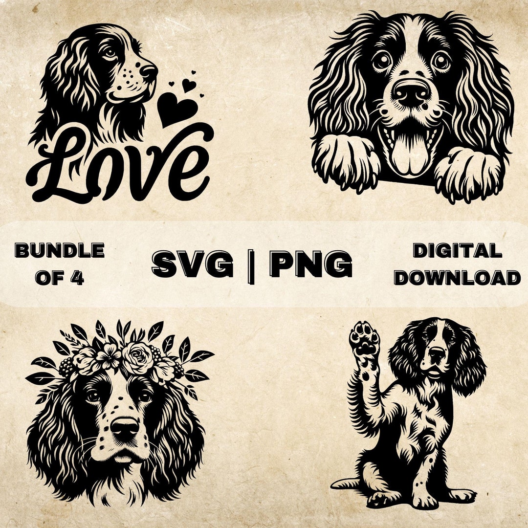 English Springer Spaniel SVG Bundle, Dogs Clipart, Hand Drawn Dog Theme ...