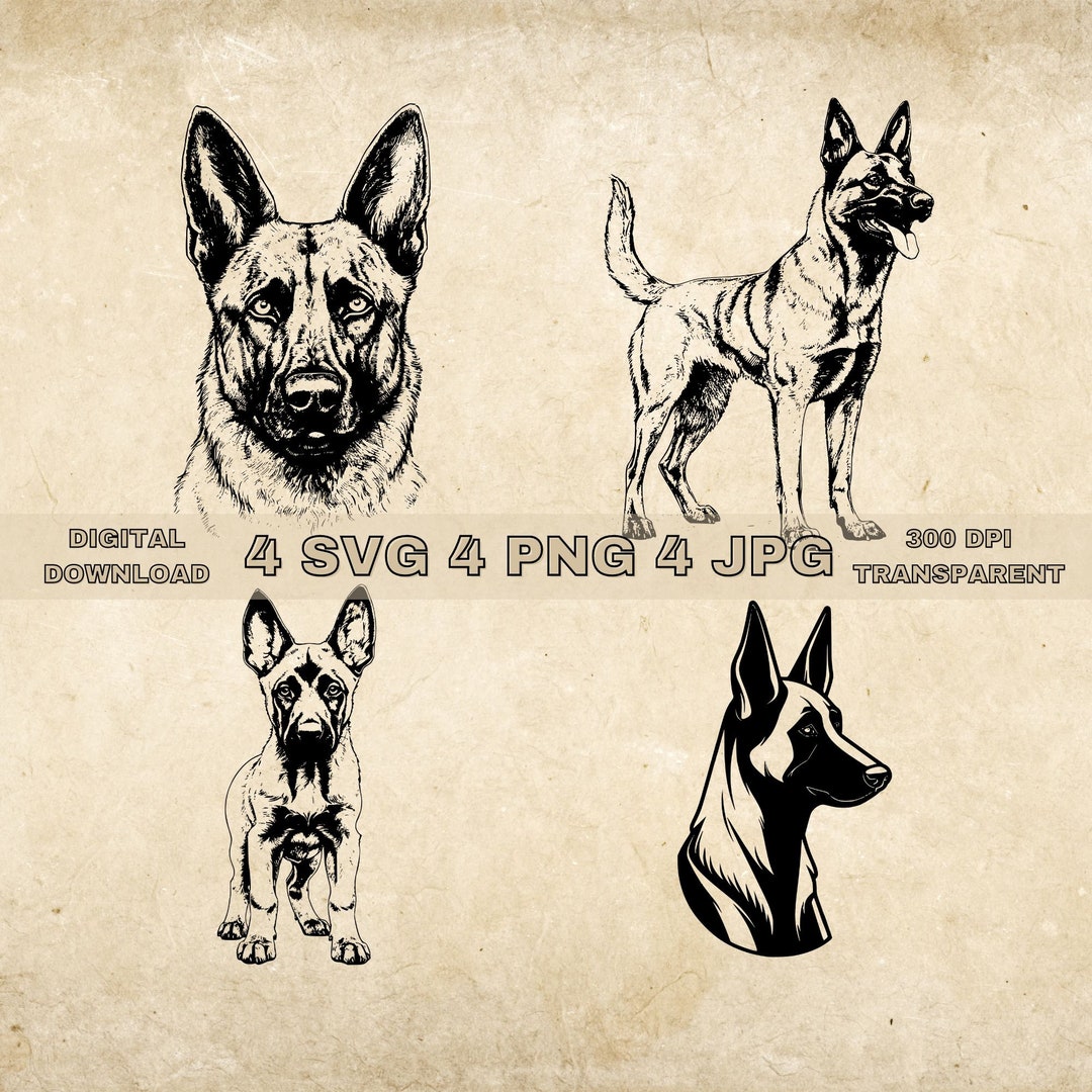 Belgian Malinois SVG Bundle, PNG, Malinois Clipart, Hand Drawn Dog ...