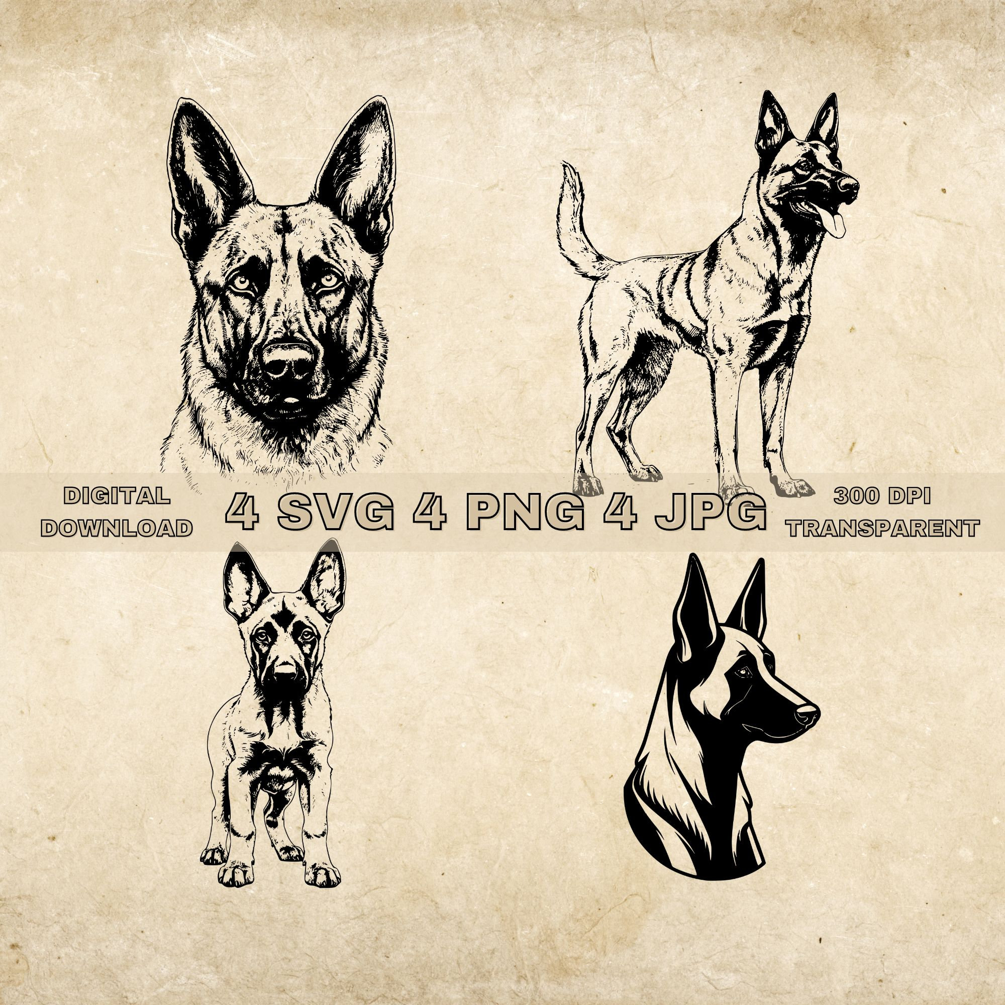 Belgian Malinois SVG Bundle, PNG, Malinois Clipart, Hand Drawn Dog ...