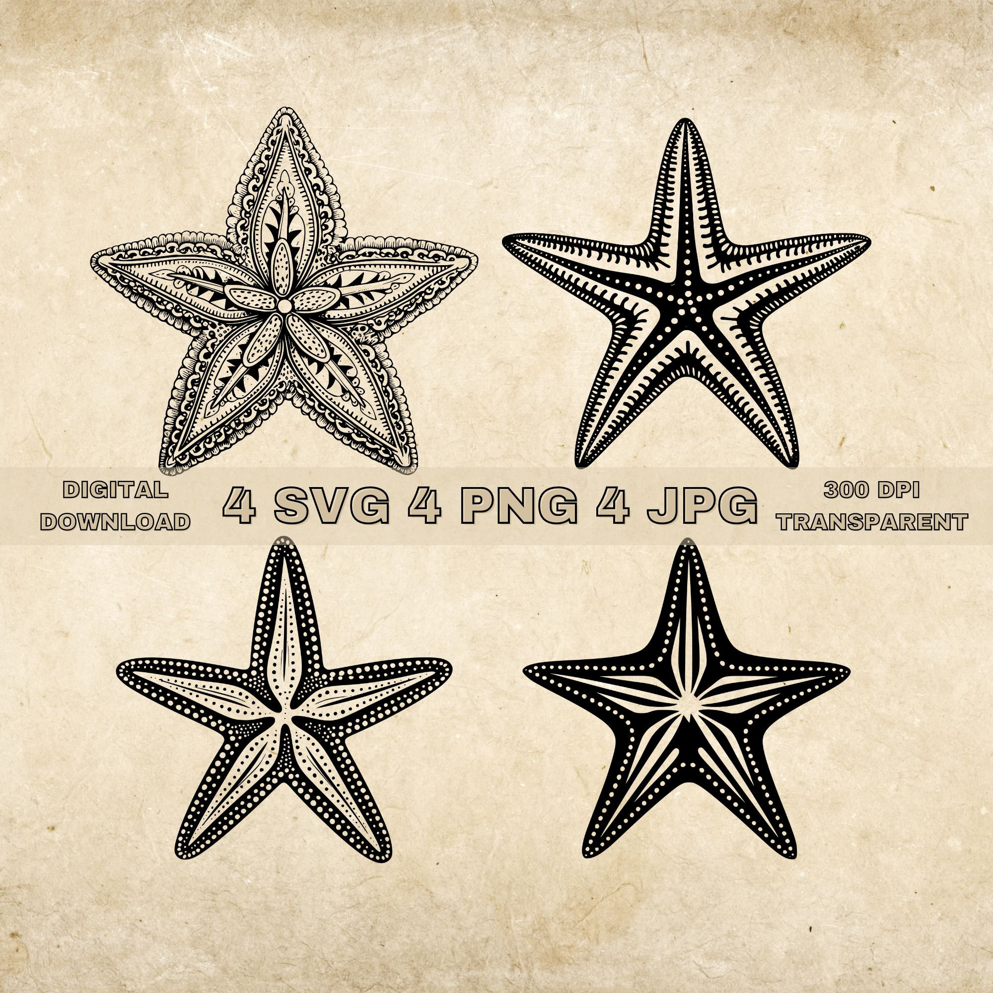 Starfish SVG Bundle PNG Ocean Themed Clipart Hand Drawn - Etsy