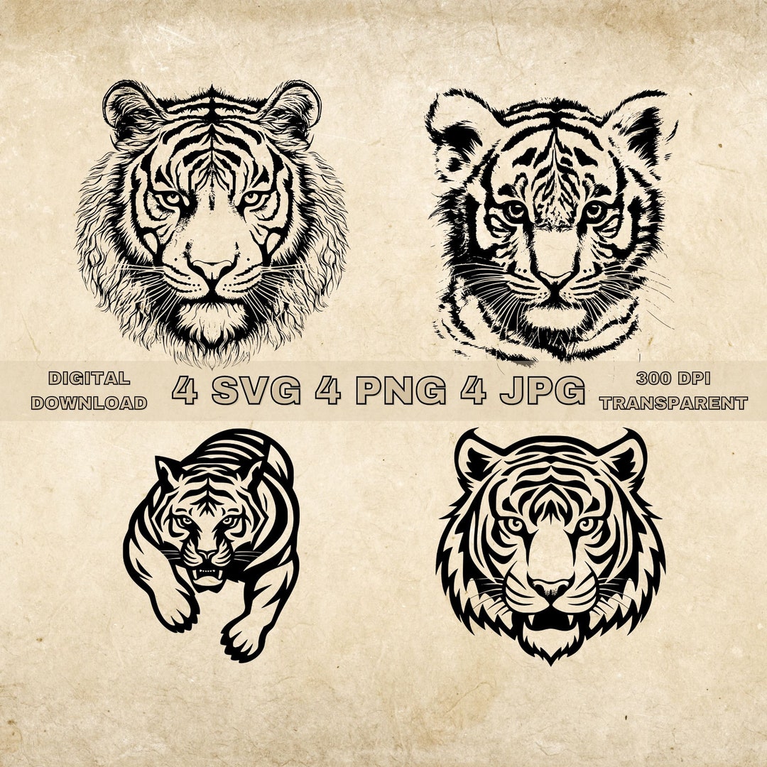 Tiger SVG Bundle, PNG, Wild Animal Clipart, Hand Drawn Wildlife Tiger ...