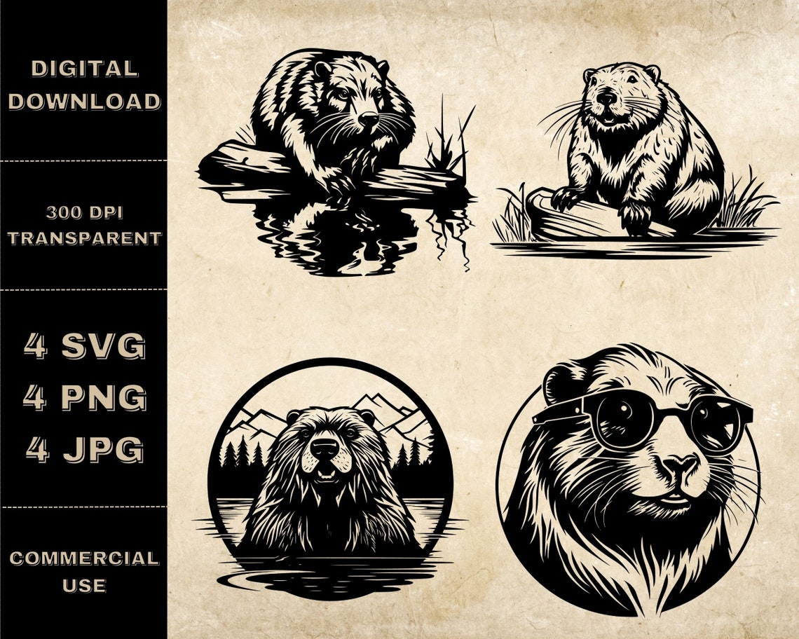 Beaver SVG Bundle PNG Beaver Clipart Hand Drawn Beaver - Etsy