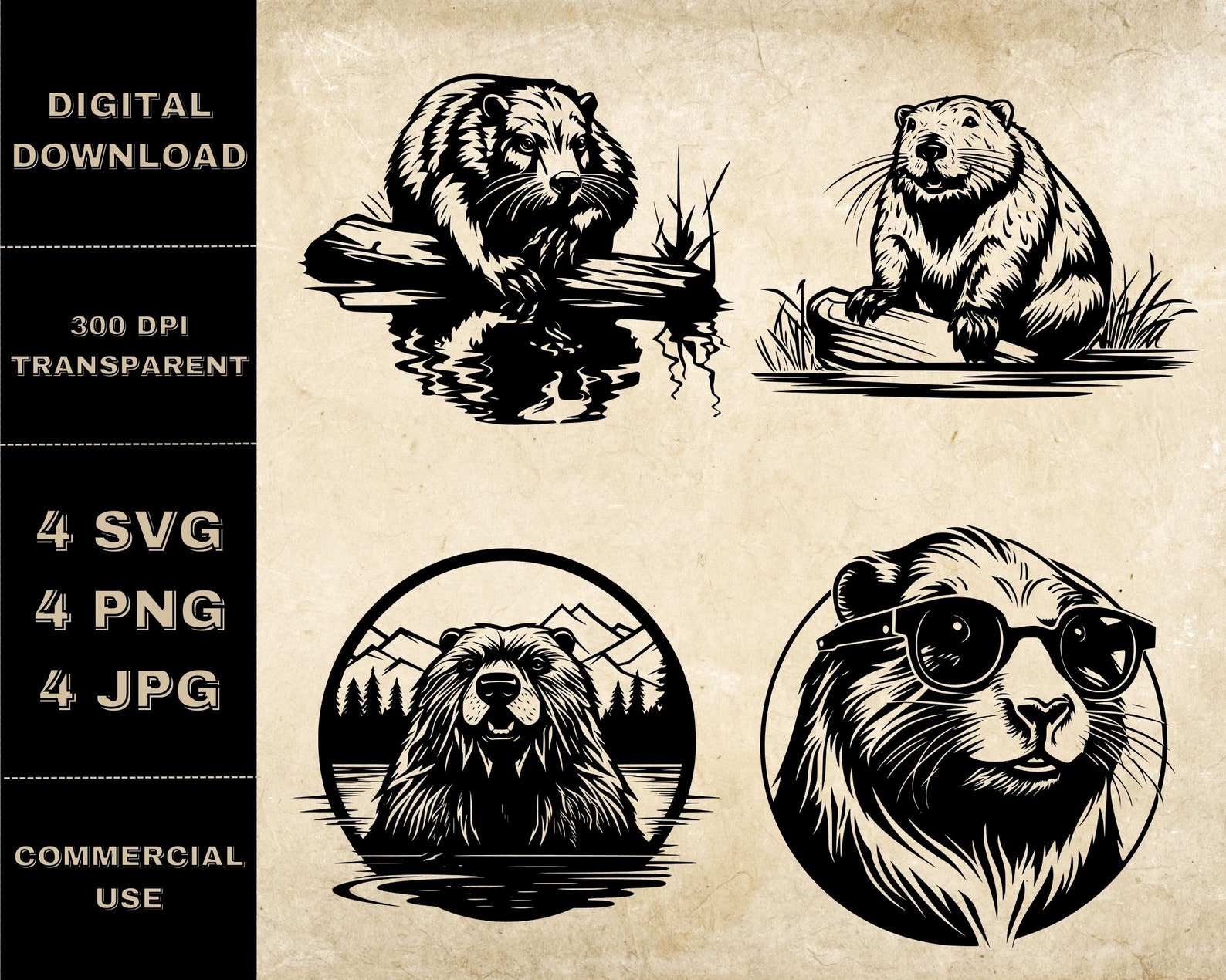 Beaver SVG Bundle, PNG, Beaver Clipart, Hand Drawn Beaver Vector ...