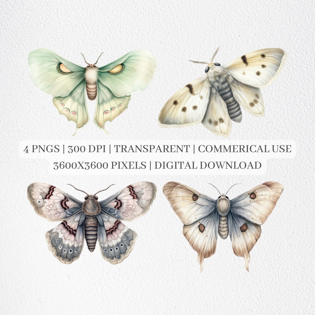 Moth Clipart, Moth PNG Files for Sublimation, Mystical Clip Art ...