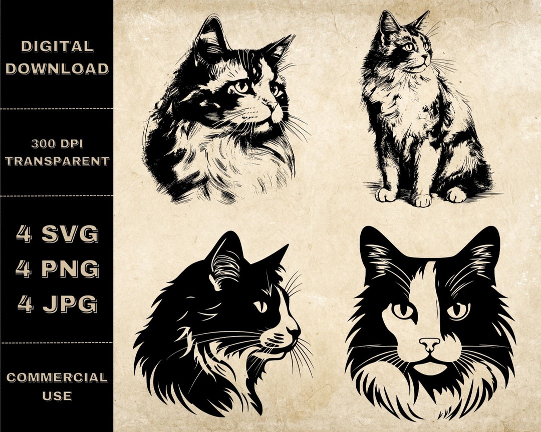 Calico Cat SVG Bundle, PNG, Cat Face Clipart, Hand Drawn Calico Cat ...