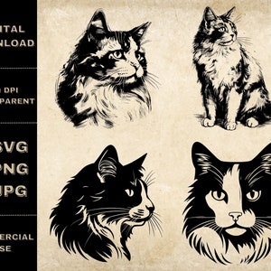 Calico Cat SVG Bundle, PNG, Cat Face Clipart, Hand Drawn Calico Cat ...