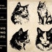 Calico Cat SVG Bundle, PNG, Cat Face Clipart, Hand Drawn Calico Cat ...