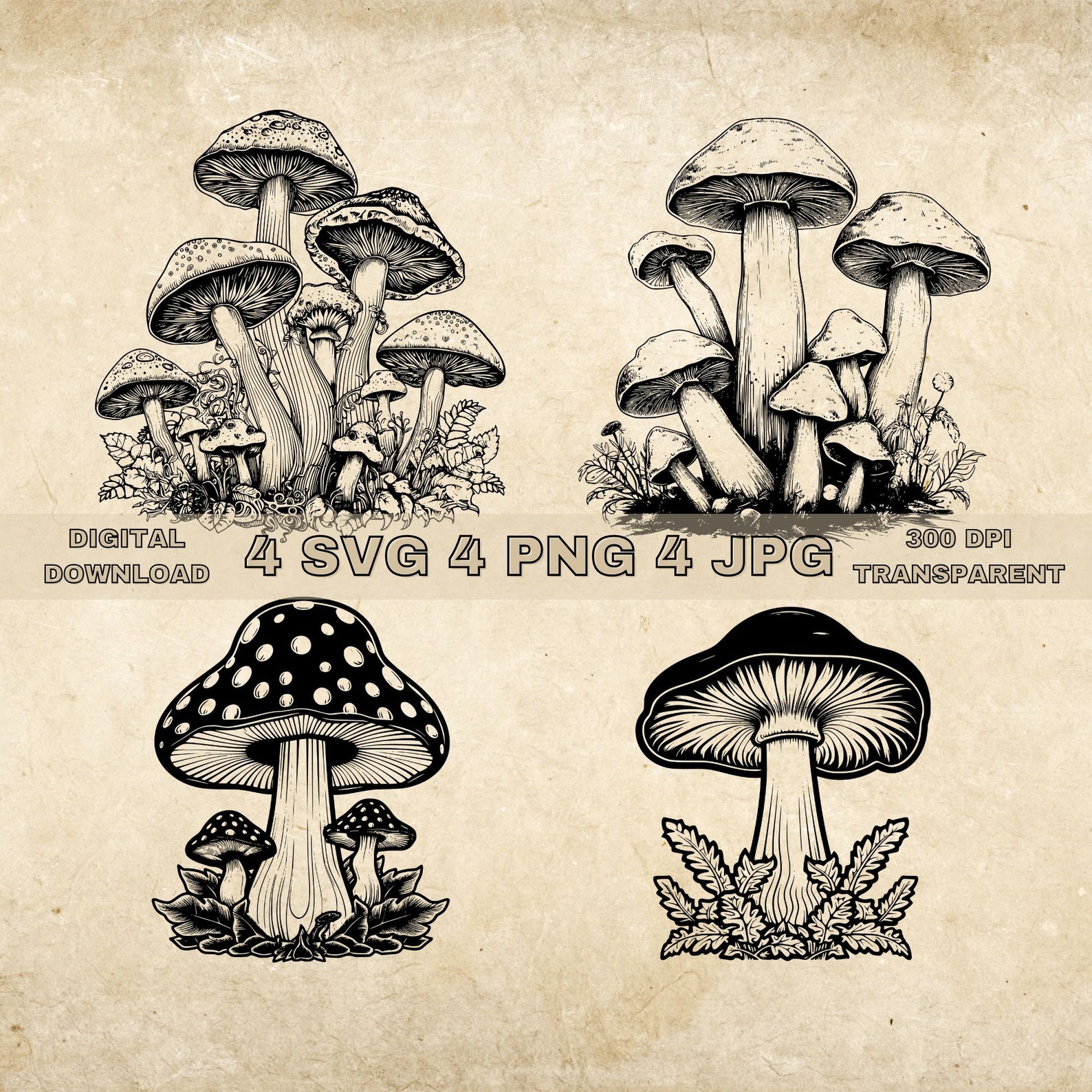 Mushroom SVG Bundle, PNG, Mushroom Clipart, Hand Drawn Mushrooms Vector ...