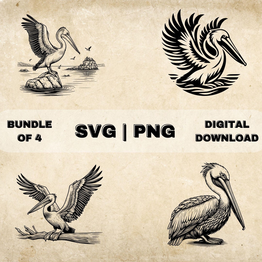 Pelican SVG Bundle, Sea Bird Clipart, Hand Drawn Nature Theme Vector ...