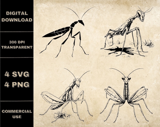Praying Mantis Vector Art, Insect SVG, PNG Clipart, Line Art ...