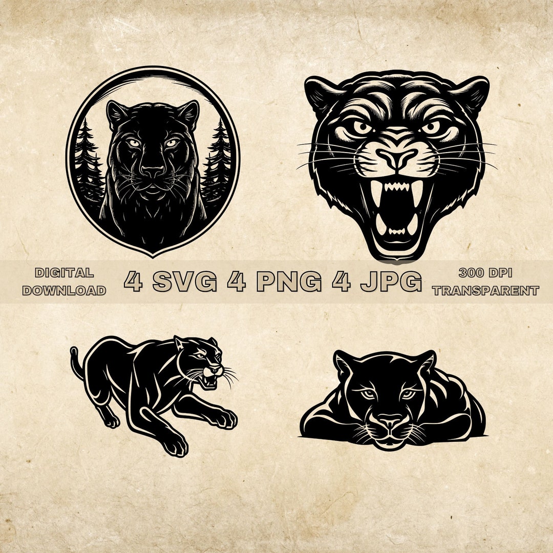 Panther SVG Bundle, PNG, Panther Clipart, Hand Drawn Wild Animal Vector ...