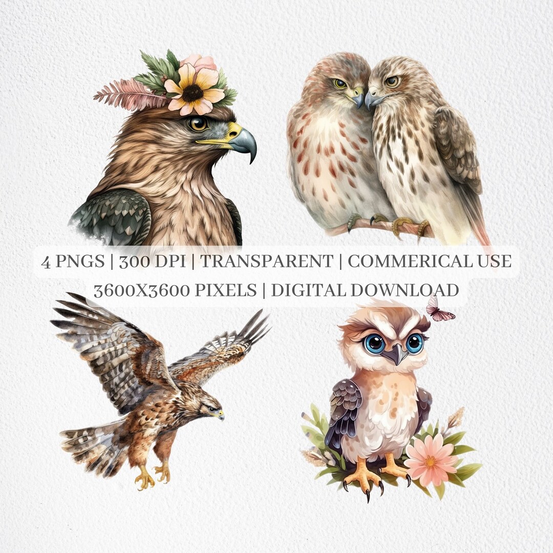 Floral Hawk Clipart, Hawk PNG Files for Sublimation, Hawks Clip Art ...