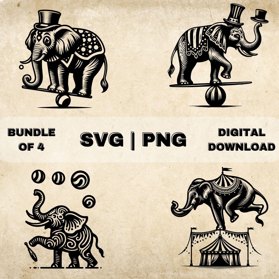 Elephant Circus SVG Bundle, PNG, Cute Elephants Clipart, Hand Drawn ...
