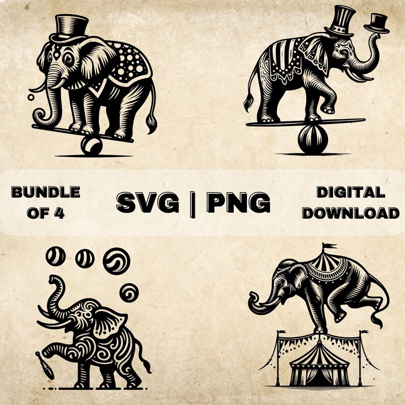 Elephant Circus SVG Bundle, PNG, Cute Elephants Clipart, Hand Drawn ...
