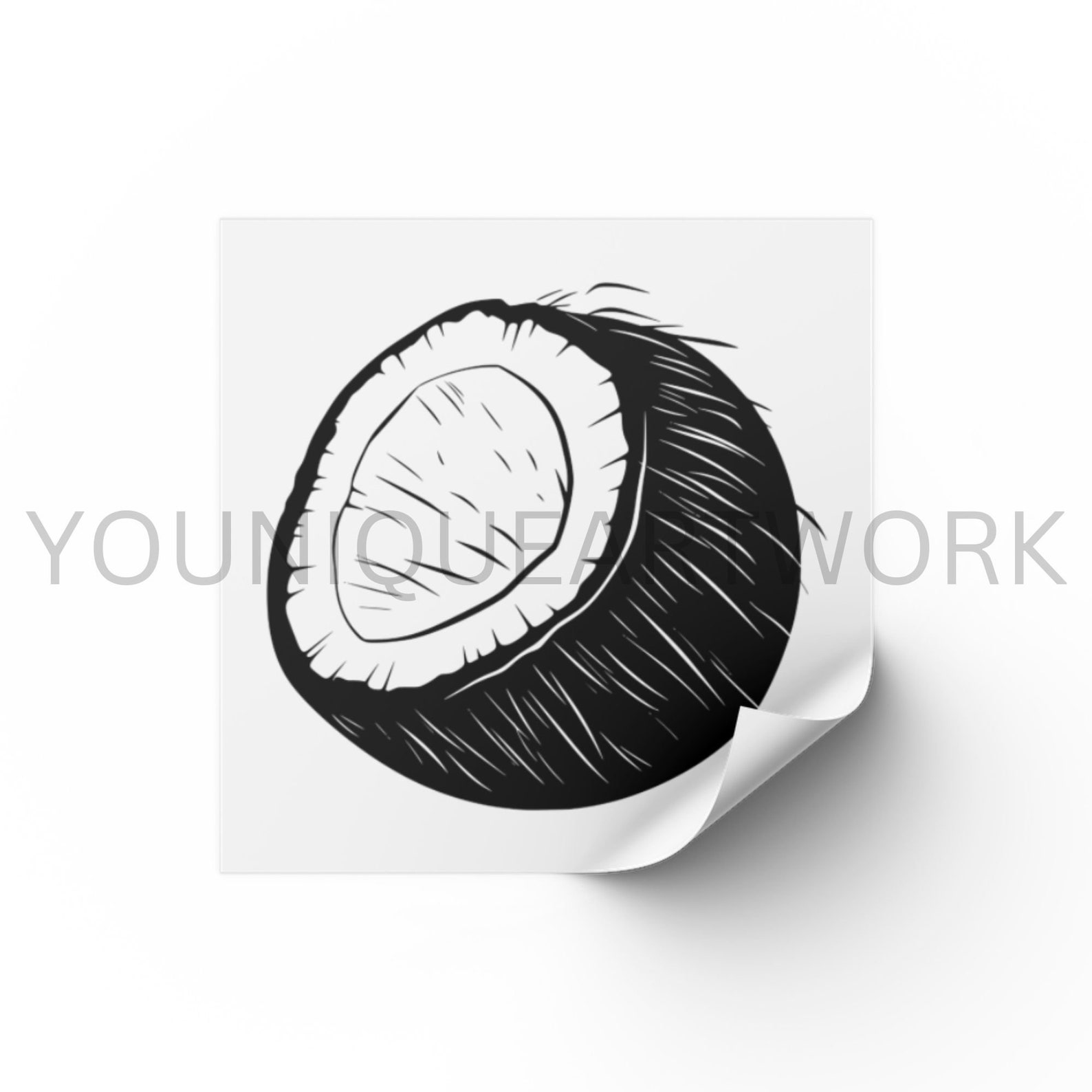 Coconut SVG Bundle PNG Tropical Fruit Clipart Hand Drawn - Etsy