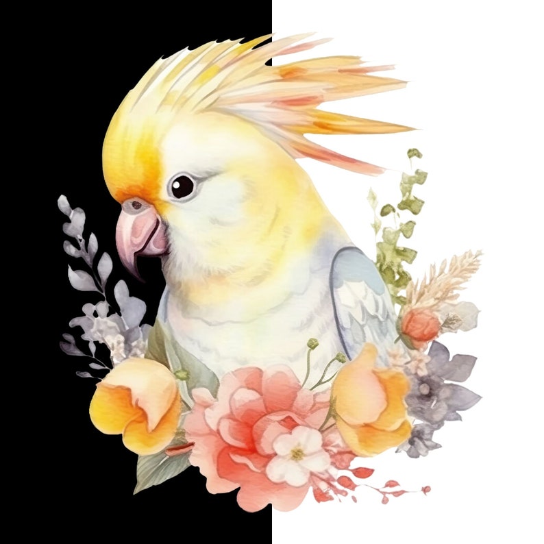 Watercolor Cockatiel Clipart Cockatiel PNG Cute Birds Clip - Etsy