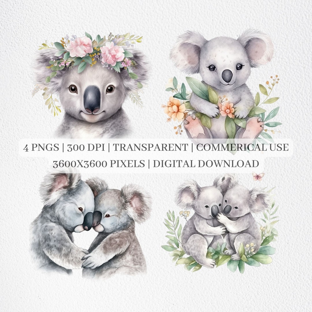 Koala Clipart, Cute Koala PNG Files for Sublimation, Koala Bear Clip ...