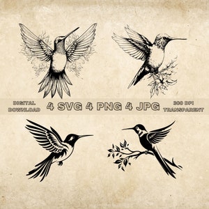 Hummingbird SVG Bundle, PNG, Floral Birds Clipart, Hand Drawn ...