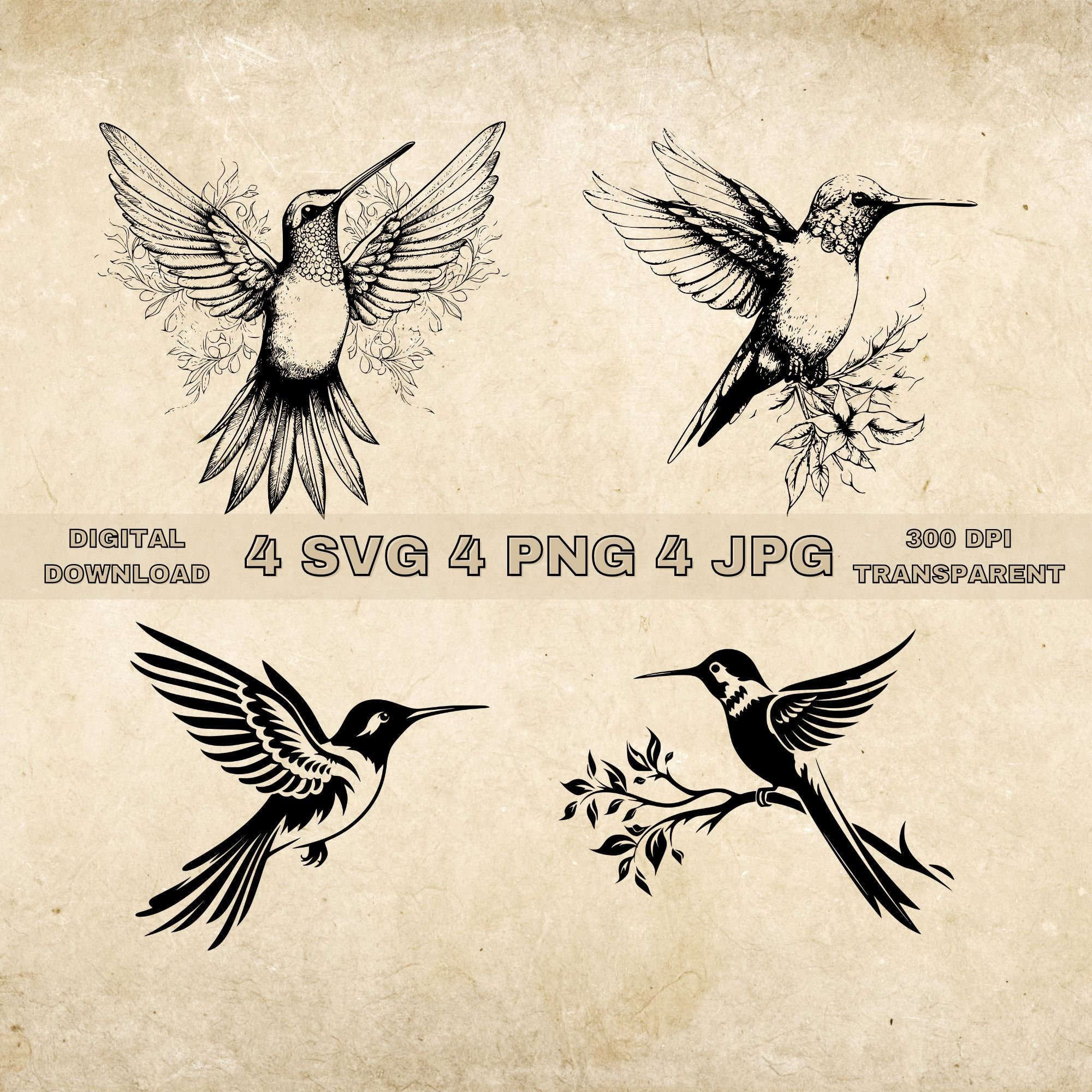 Paquete SVG de colibrí, PNG, imágenes prediseñadas de pájaros florales ...