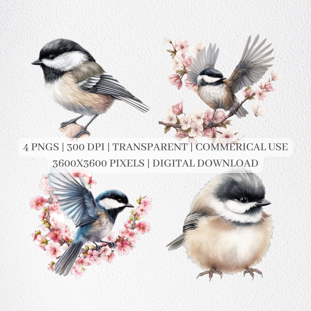 Chickadee Clipart, Chickadee PNG, Cute Birds Clip Art, Nursery Decor ...