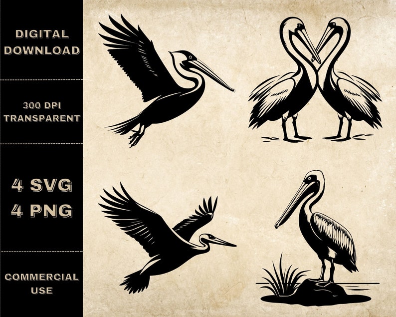 Pelican SVG Bundle PNG Pelican Clipart Hand Drawn Flying - Etsy