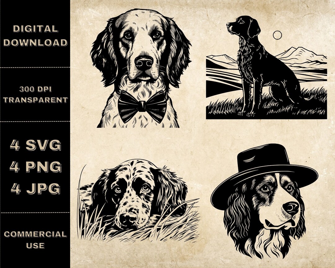 English Setter SVG Bundle, PNG, Cute Dogs Clipart, Hand Drawn Dog ...