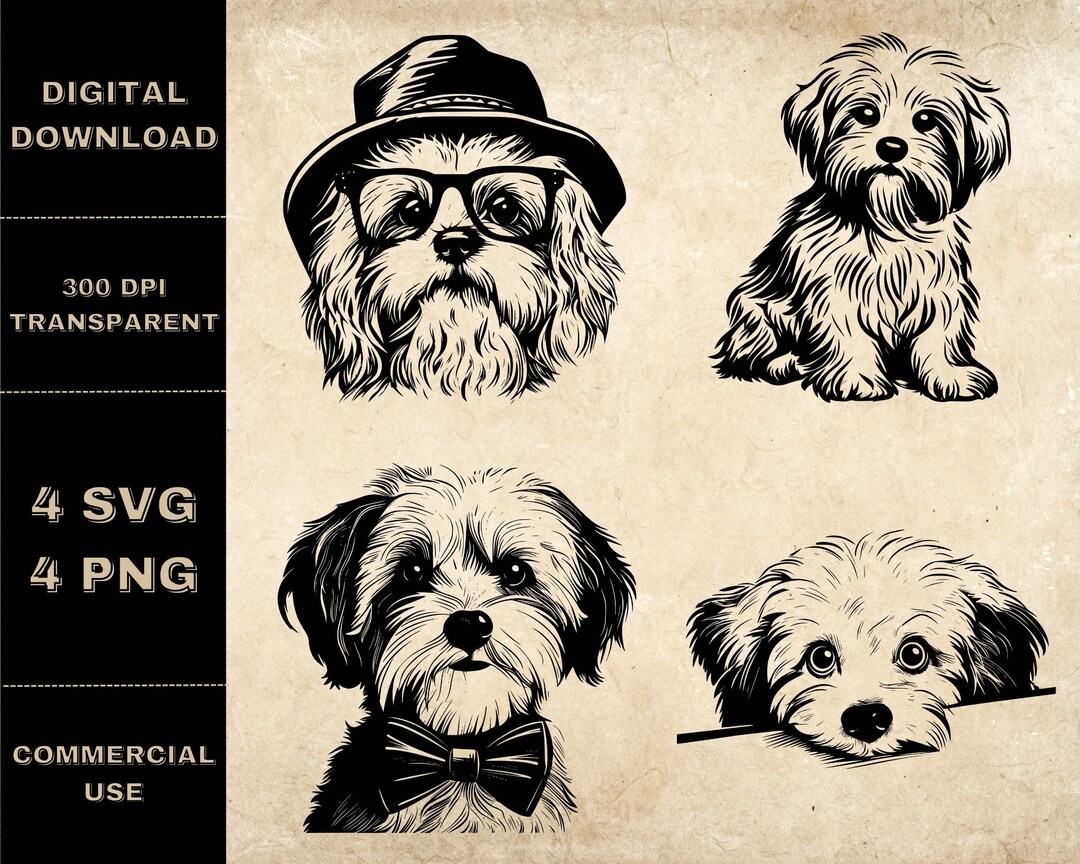 Maltese SVG Bundle, PNG, Cute Dog Clipart, Hand Drawn Peeking Dog ...