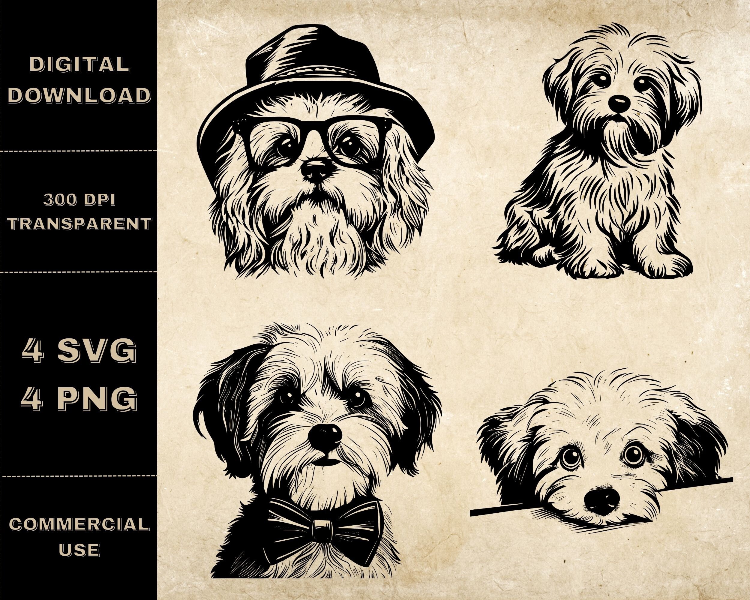 Maltese SVG Bundle, PNG, Cute Dog Clipart, Hand Drawn Peeking Dog ...