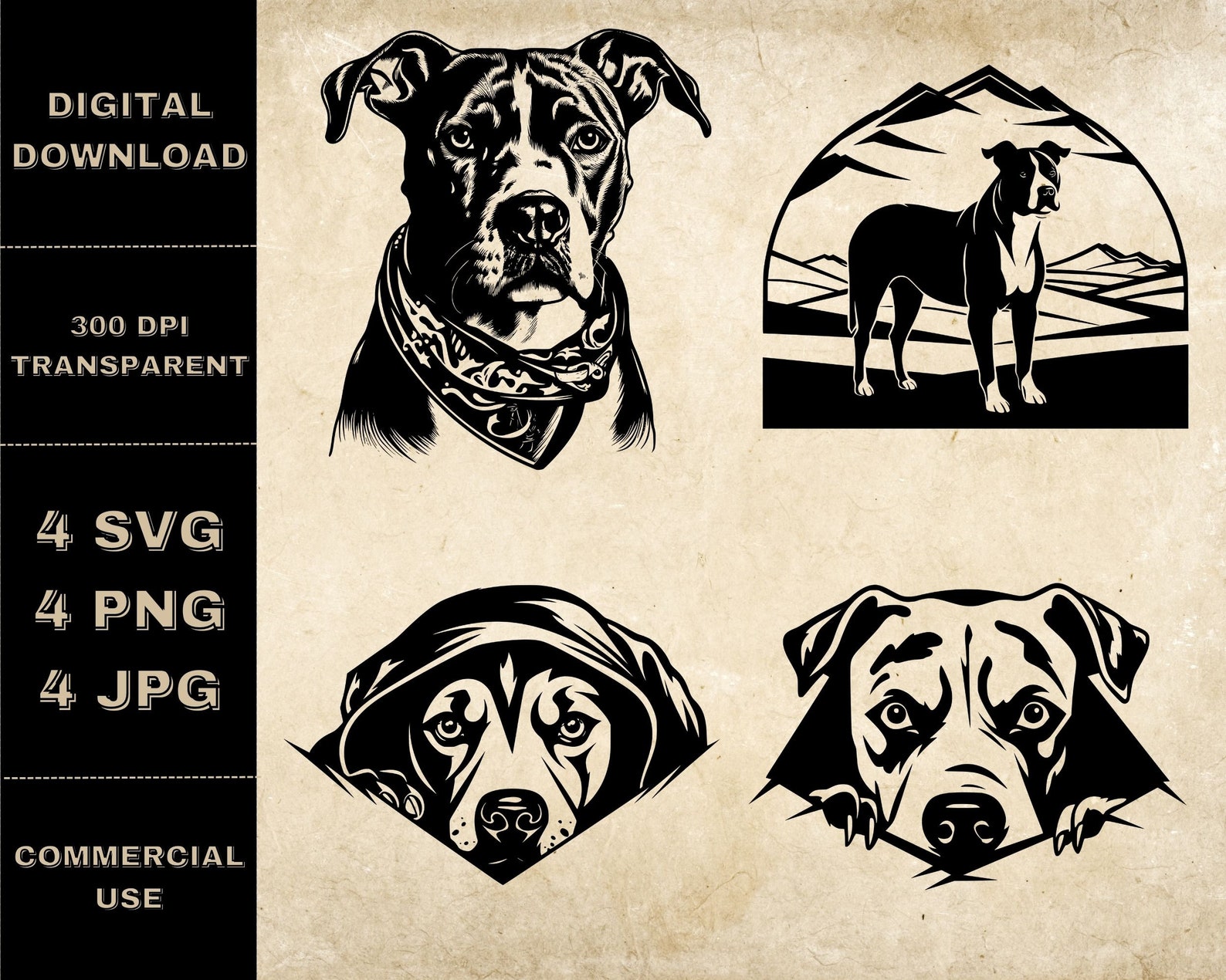 American Staffordshire Terrier SVG Bundle, PNG, Funny Dog Clipart, Hand ...