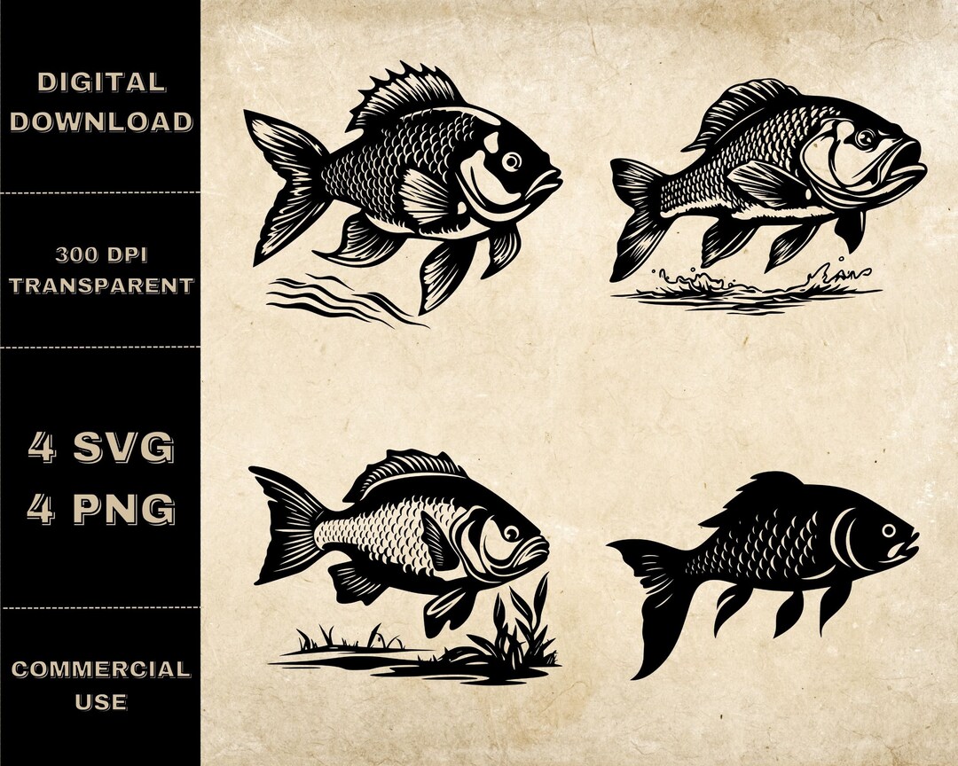 Carp SVG Bundle, PNG, Fish Clipart, Hand Drawn Fishing Vector ...