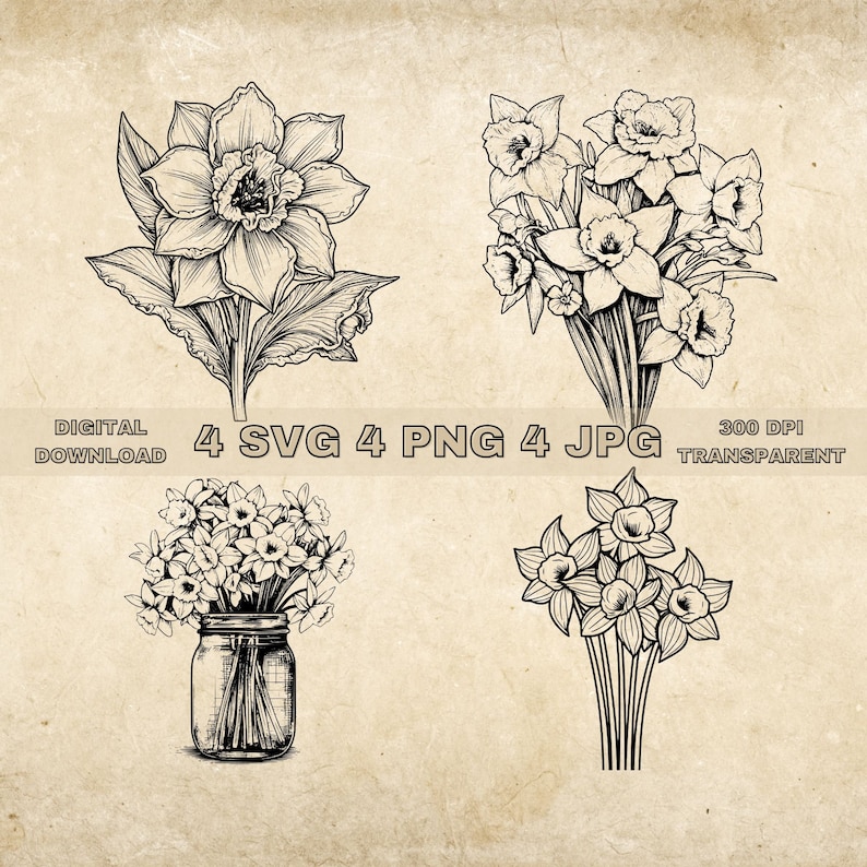 Daffodil SVG Bundle, PNG, Flowers Clipart, Hand Drawn Daffodils Vector ...